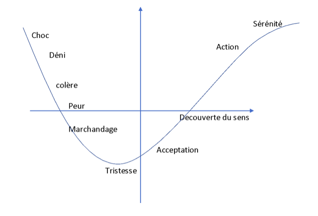 Les outils de coaching pour des séances dynamiques et efficaces - Koï ...